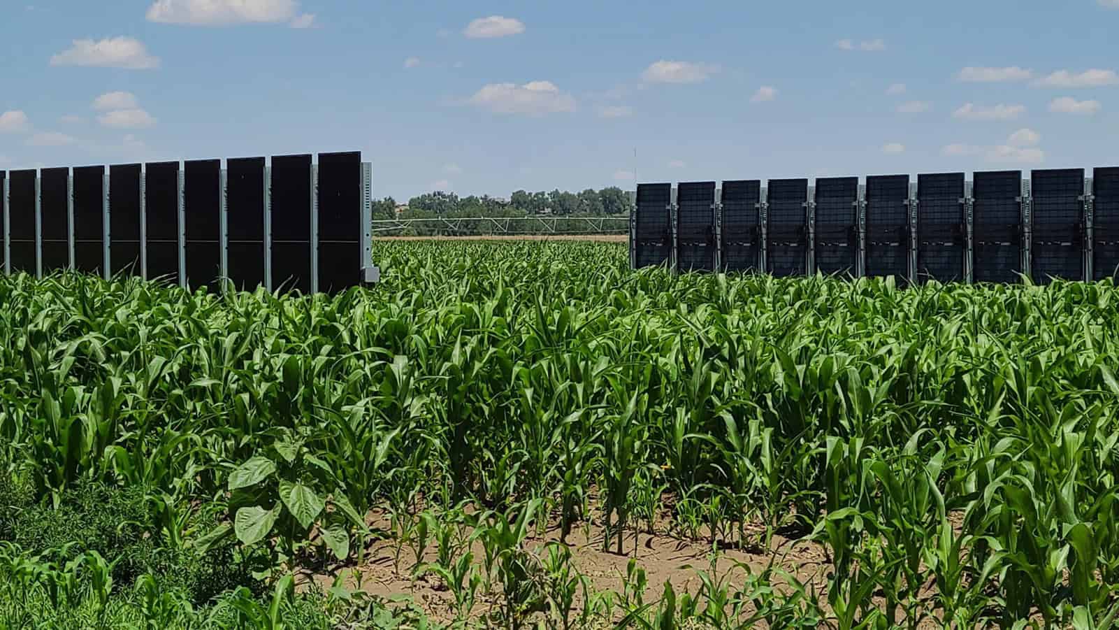 Why Standing Bifacial PV Panels Upright Is Revolutionizing Solar Energy